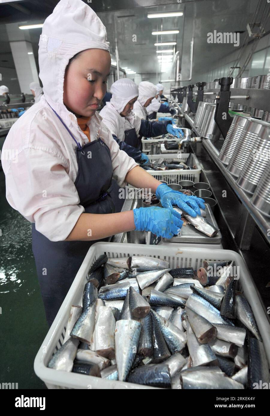 China fish processing hi-res stock photography and images - Alamy