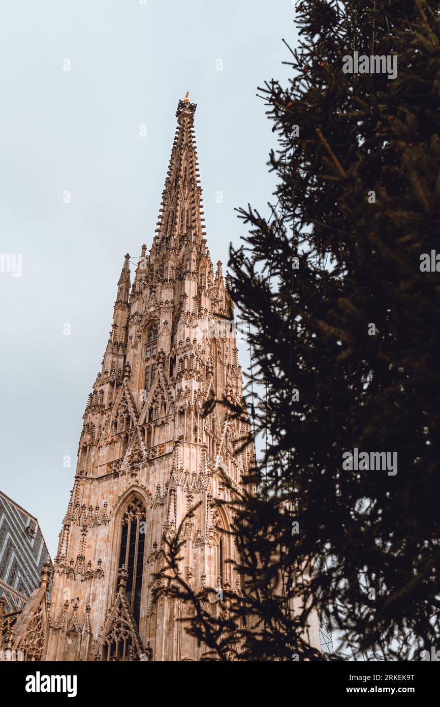 St stephen's cathedral vienna winter hi-res stock photography and ...