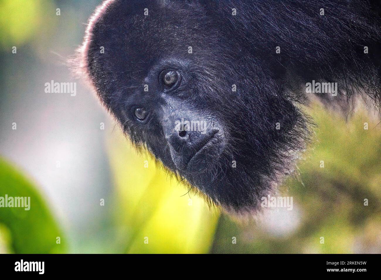 Scotland halfmoon hi-res stock photography and images - Alamy