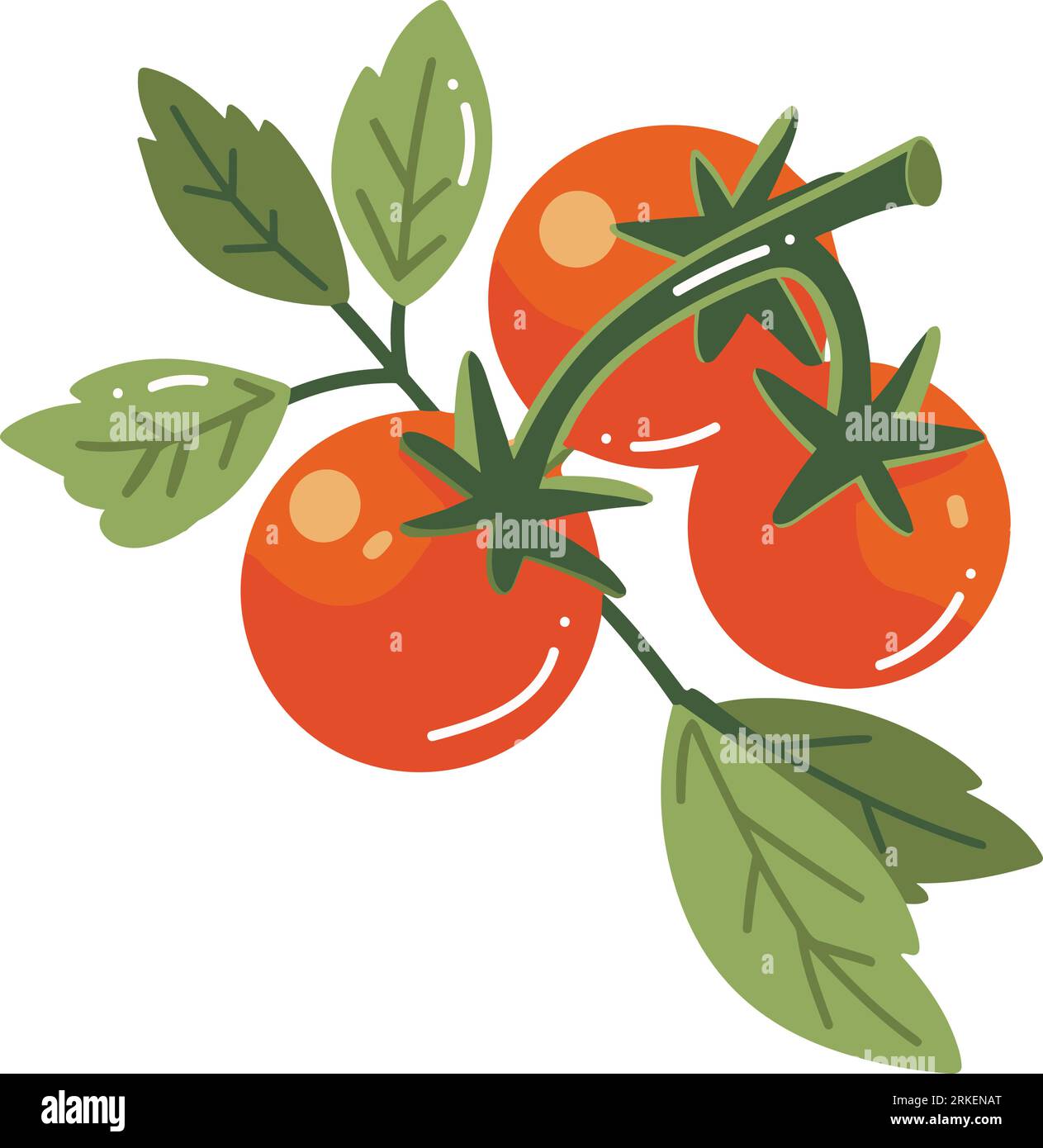 Bush tomatoes in garden Stock Vector Images - Alamy
