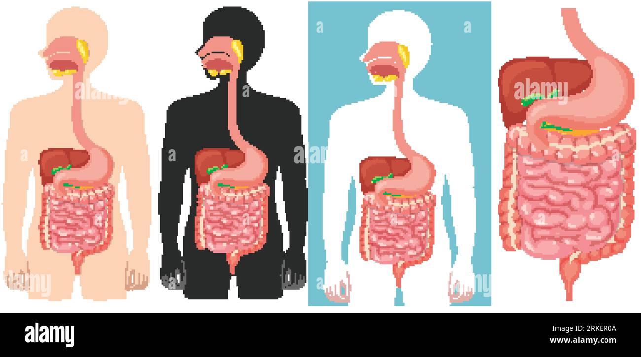 Illustrated cartoon-style image depicting the science and anatomy of ...