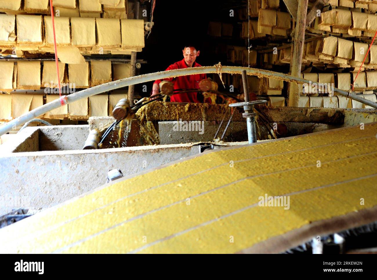 China bamboo pulp hi-res stock photography and images - Alamy