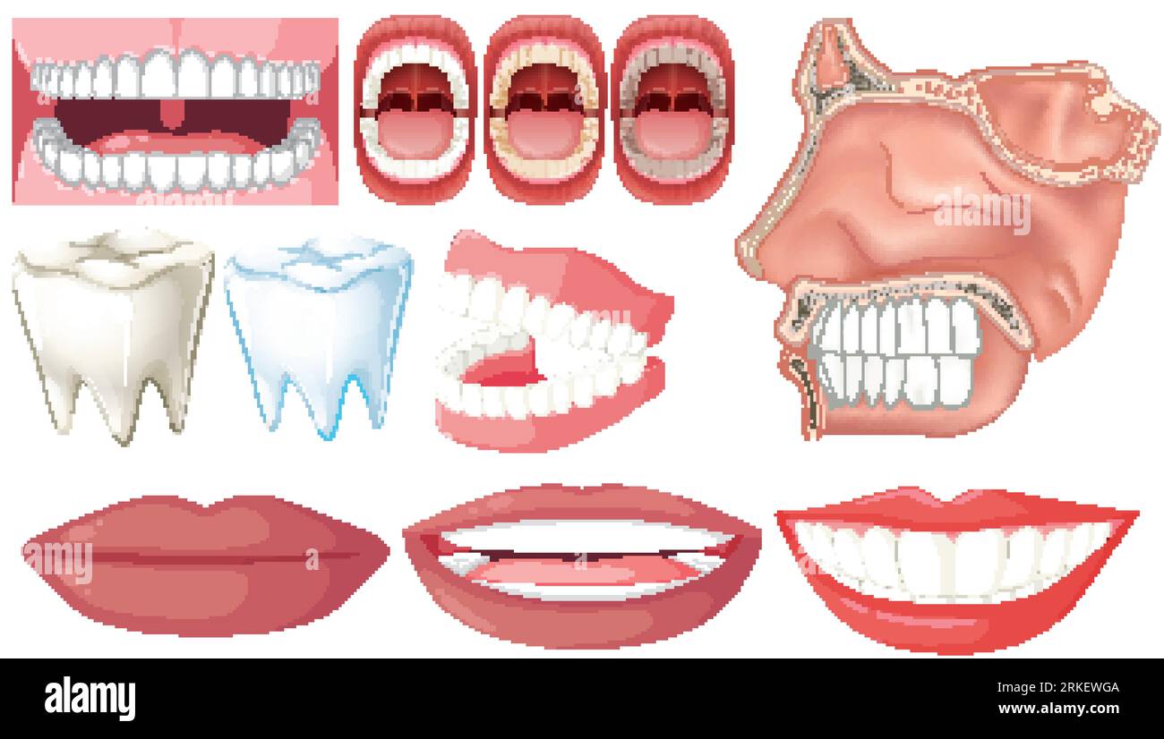 Dental aesthetics vector vectors hi-res stock photography and images ...