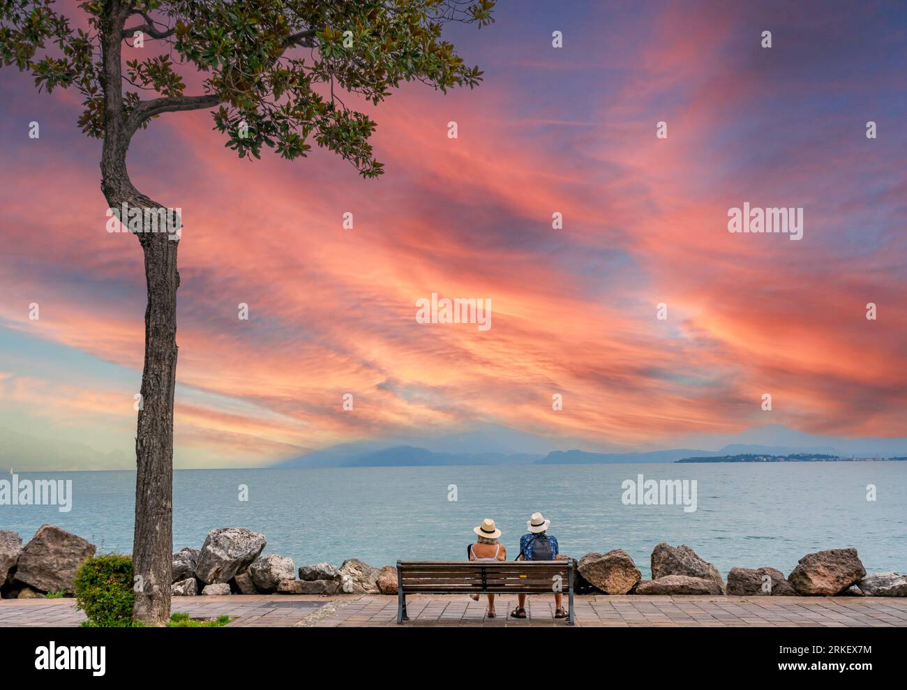 landscape with a tree and lake garda, italy Stock Photo - Alamy