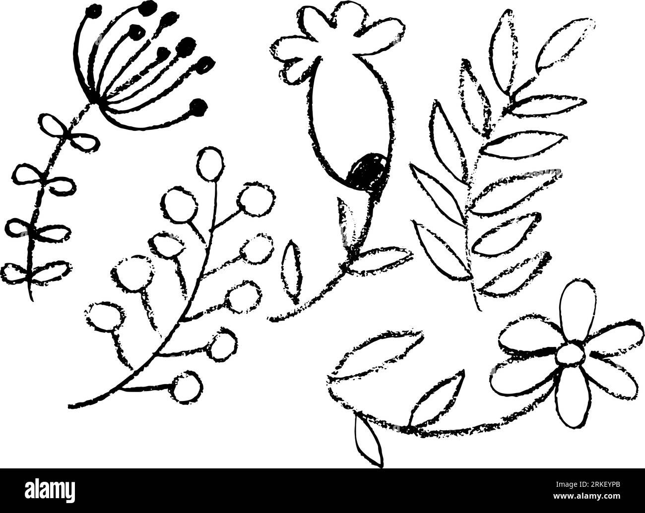 Hand Drawn Cartoon Chalk Flowers, Berries and Leaves Stock Vector Image ...
