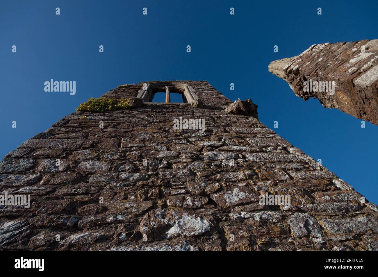 Mount edgecombe park hi-res stock photography and images - Alamy
