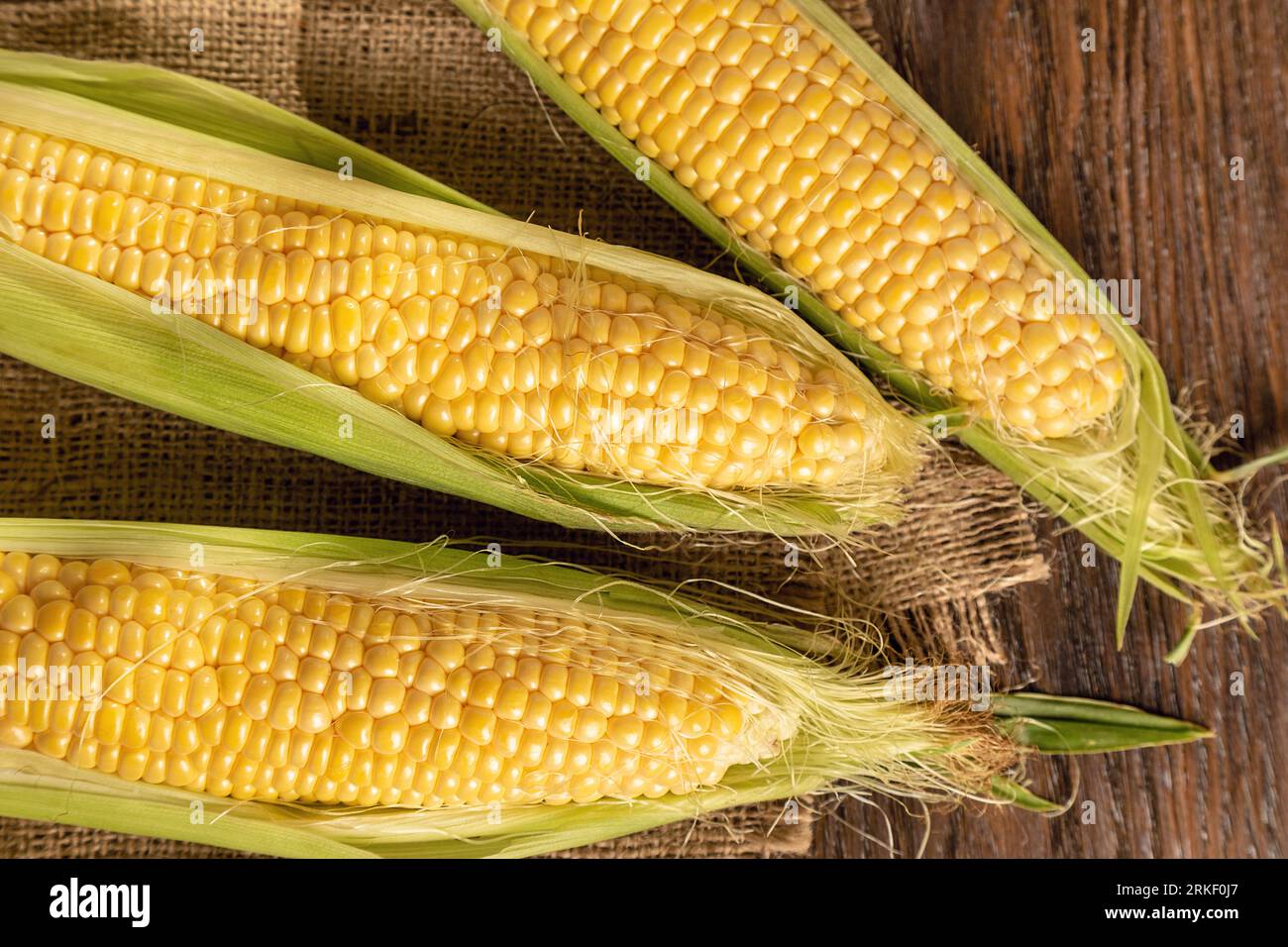 Fresh ripe corncobs on a brown wooden background. Rural still life with ...