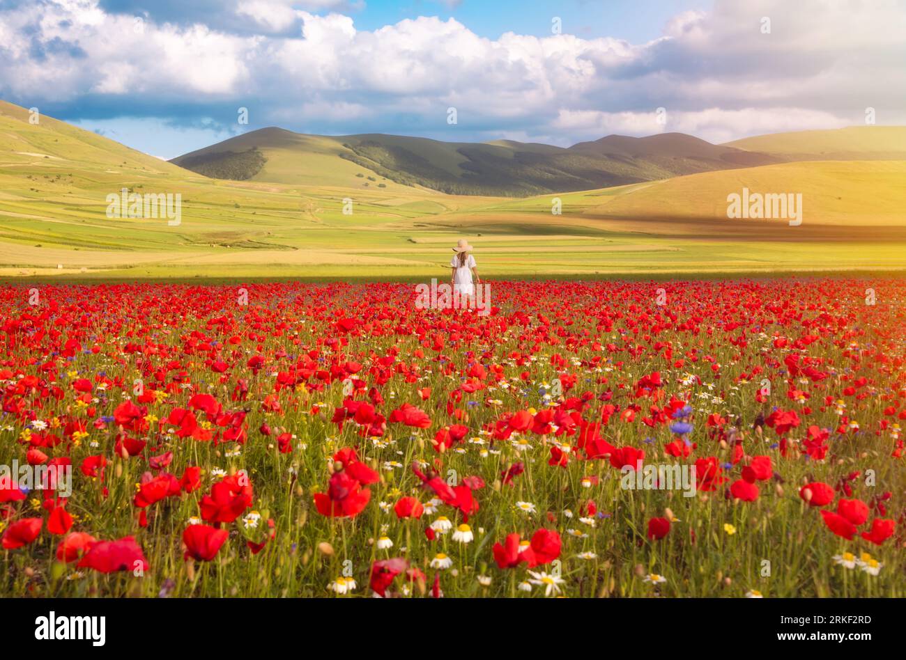 Girl walking in fields hi-res stock photography and images - Alamy