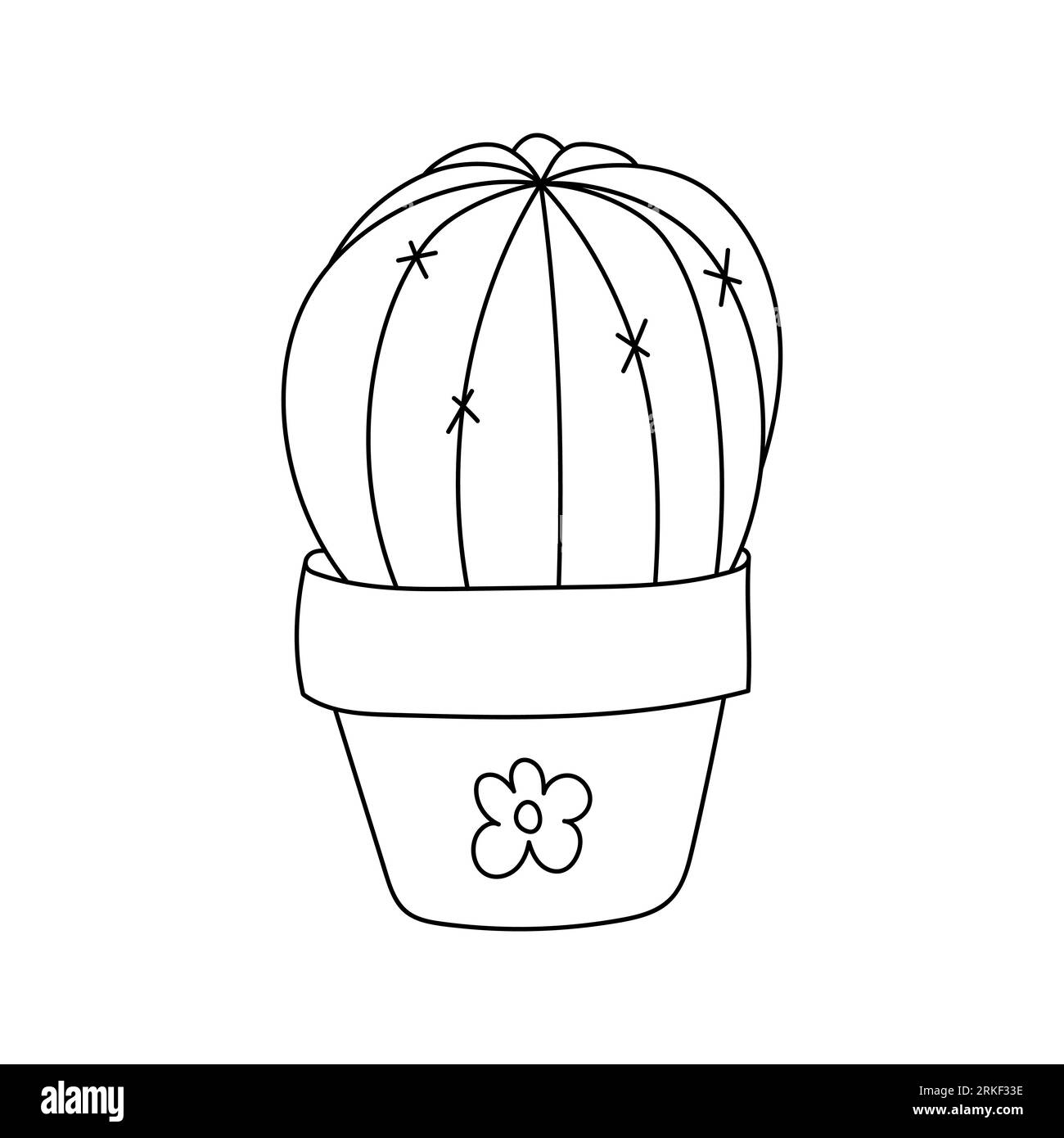 Succulent in a pot Black and White Stock Photos & Images - Alamy