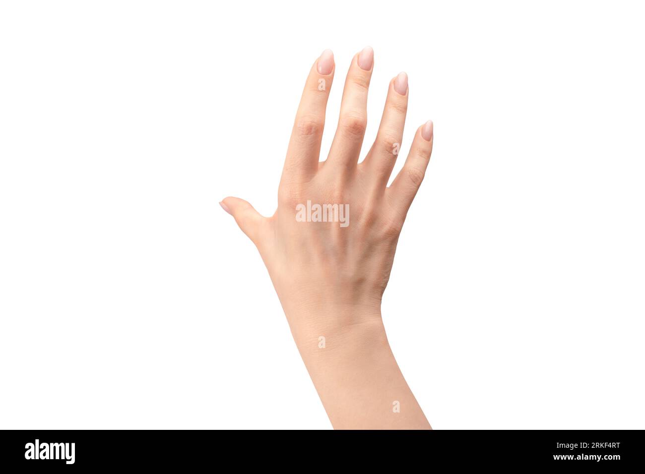 Woman hand isolated on a white background Stock Photo - Alamy