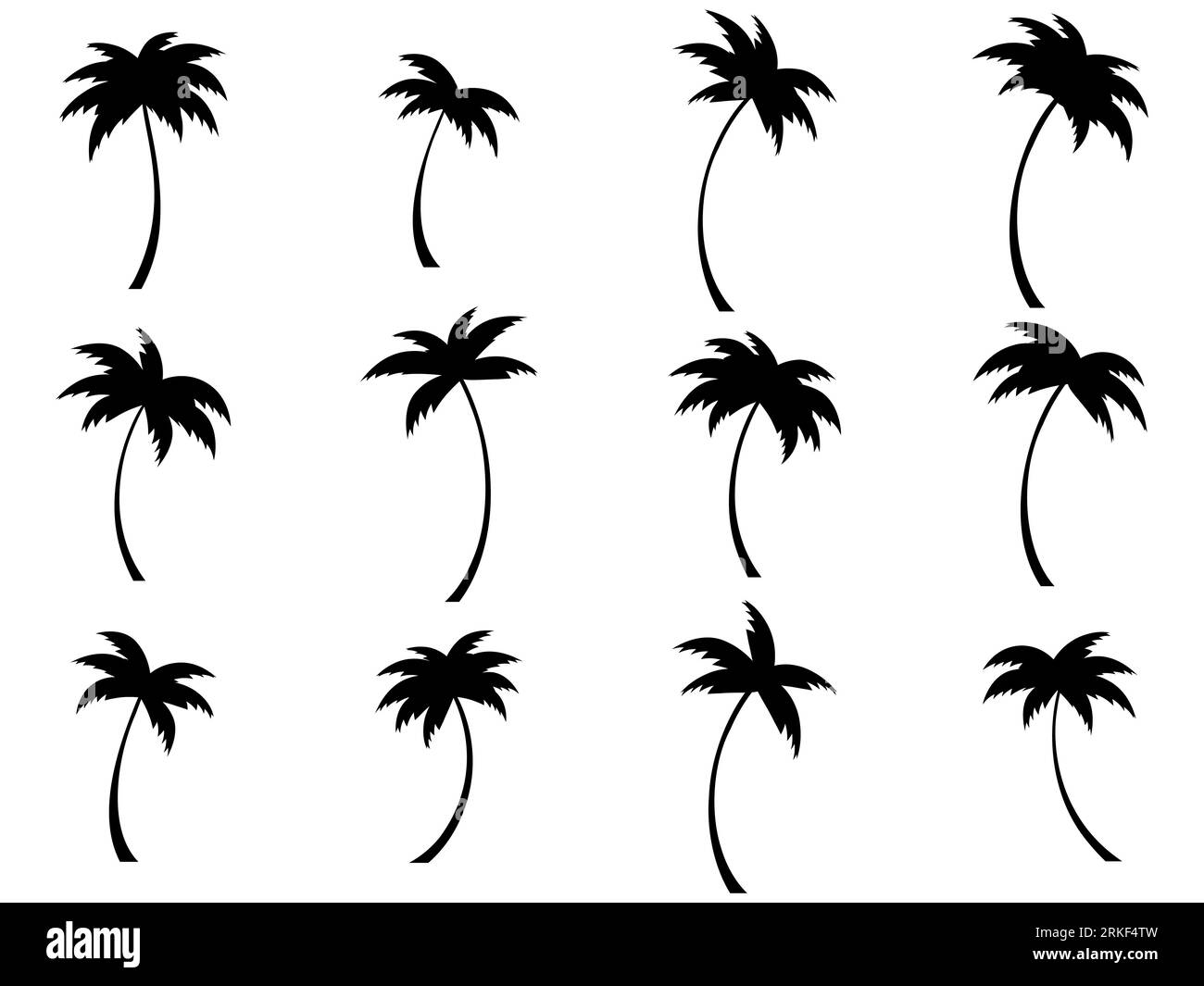 Set of black silhouettes of palm trees isolated on white background ...