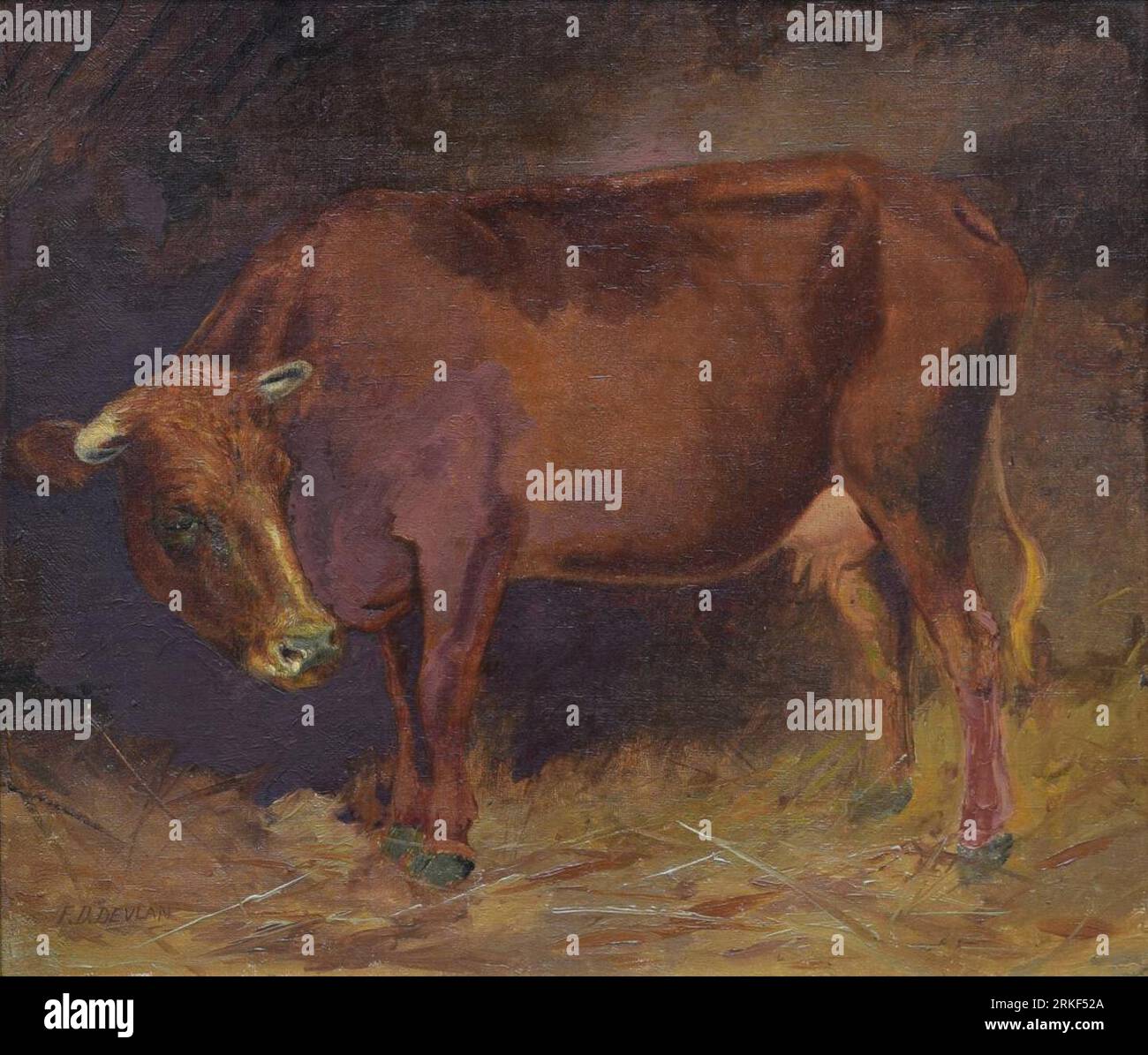 Iconic cow picture hi-res stock photography and images - Alamy