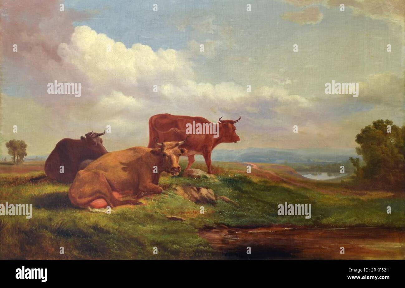 Q91855009 hi-res stock photography and images - Alamy