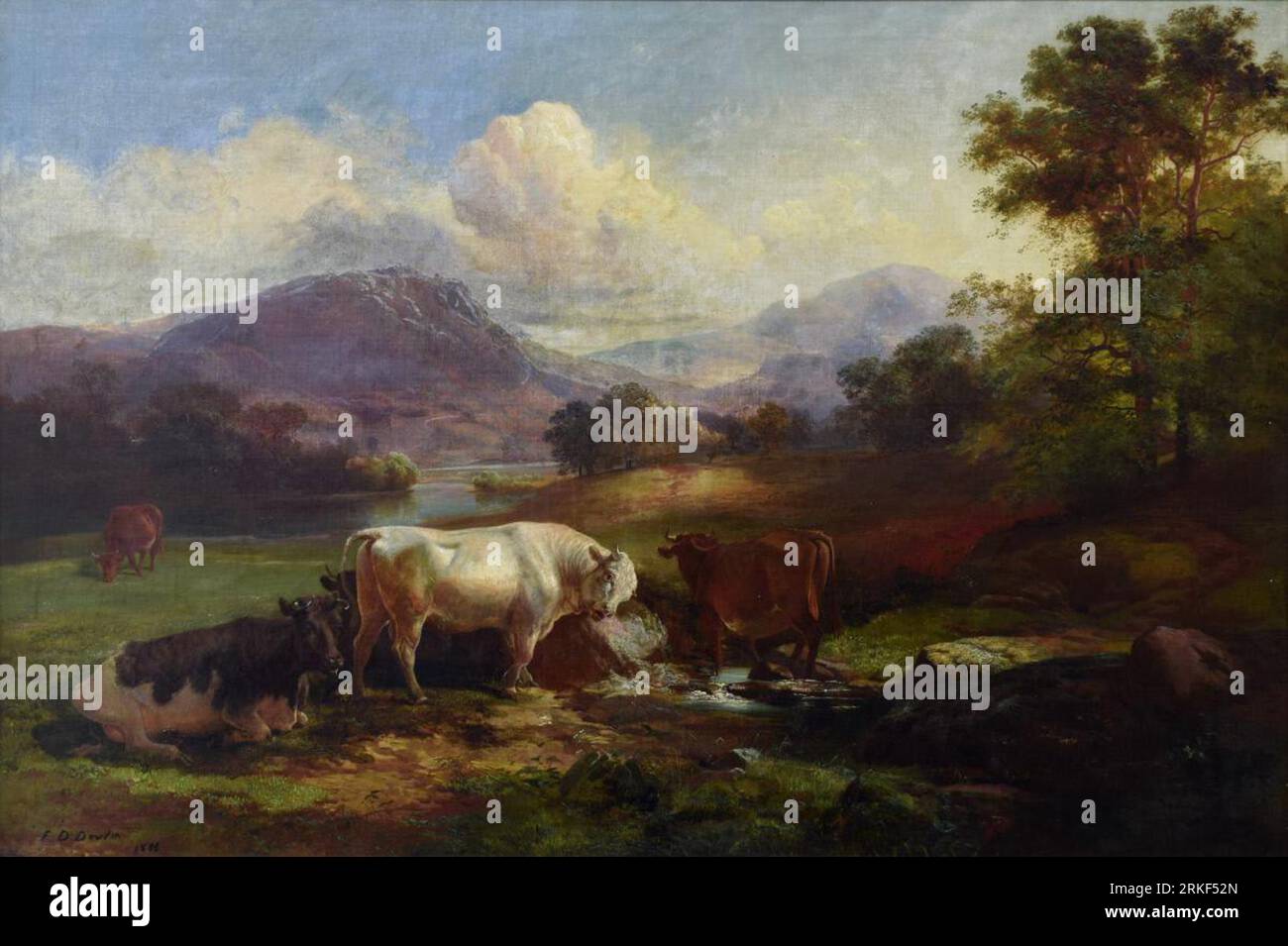 Cattle (White Bull) 1886 by Francis Devlan Stock Photo - Alamy