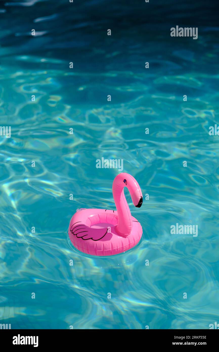 inflatable pink flamingo in the pool Stock Photo - Alamy