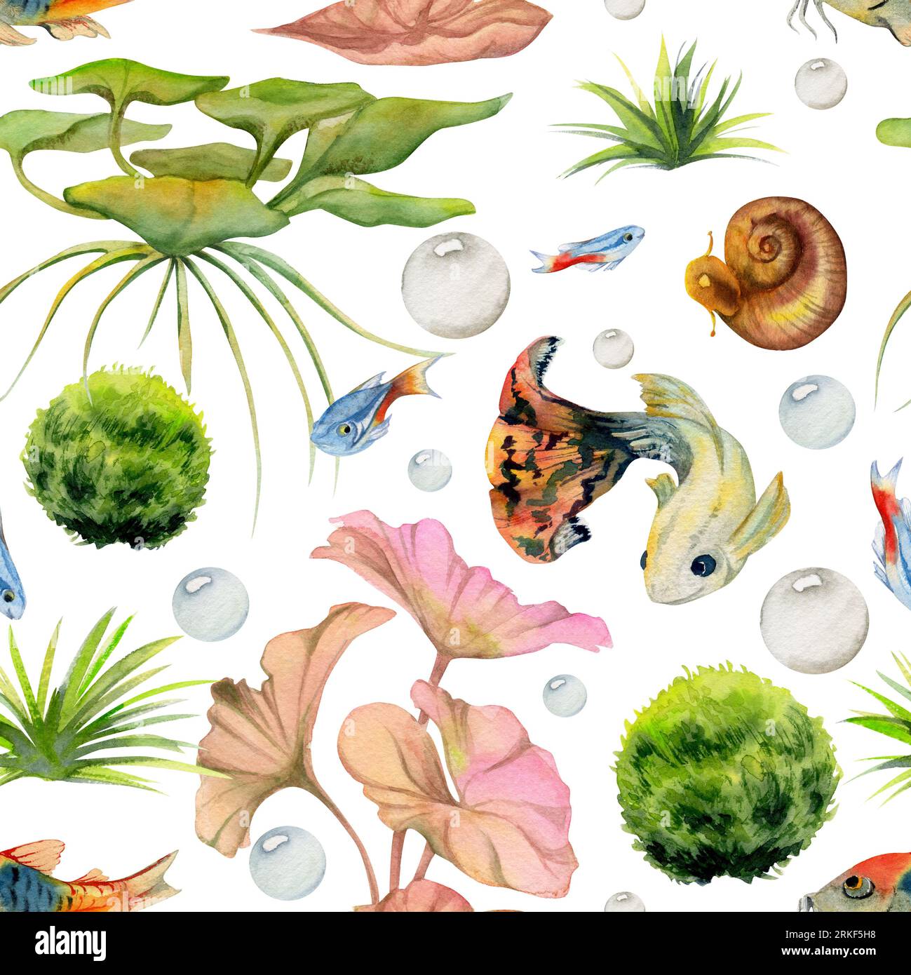 Hand drawn watercolor aquarium fish, algae, sealife. Marine exotic ...