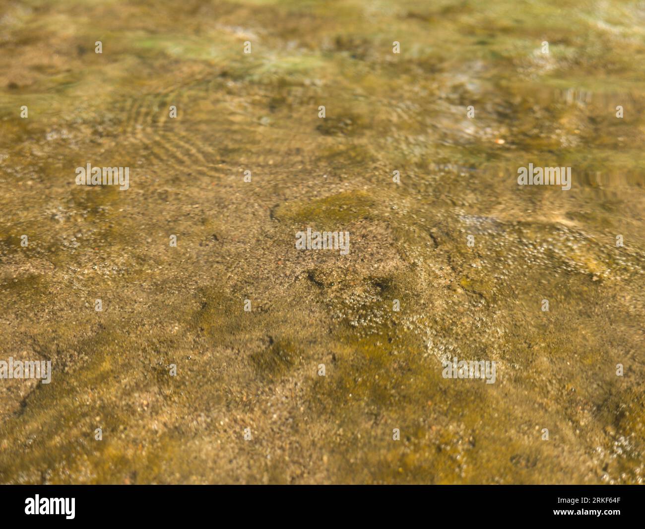 Shallow river flowing over sandy bottom 2 Stock Photo - Alamy