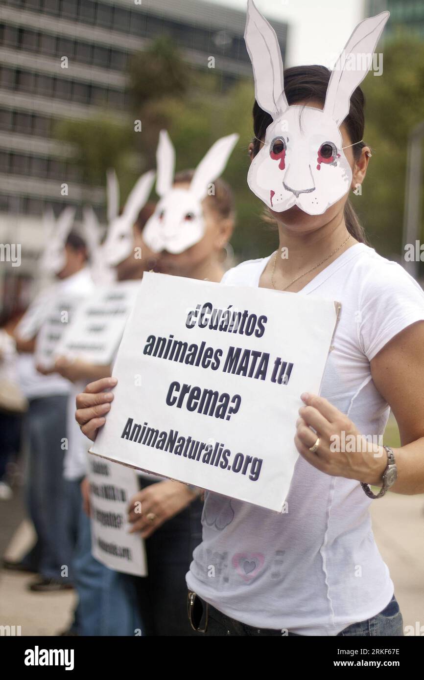 Animal testing rabbit hi-res stock photography and images - Alamy