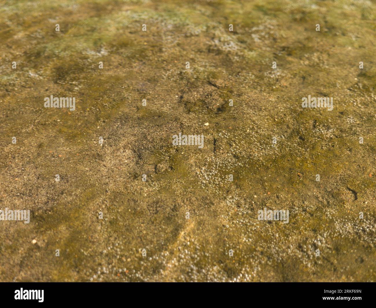 Bottom sand sandy hi-res stock photography and images - Alamy