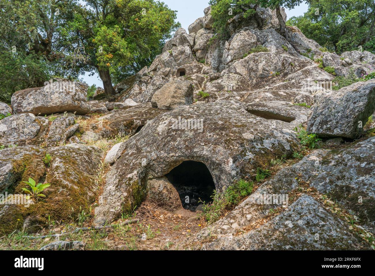 Domus de Janas at Sirilò (Supramonte of Orgosolo, Italy Stock Photo - Alamy