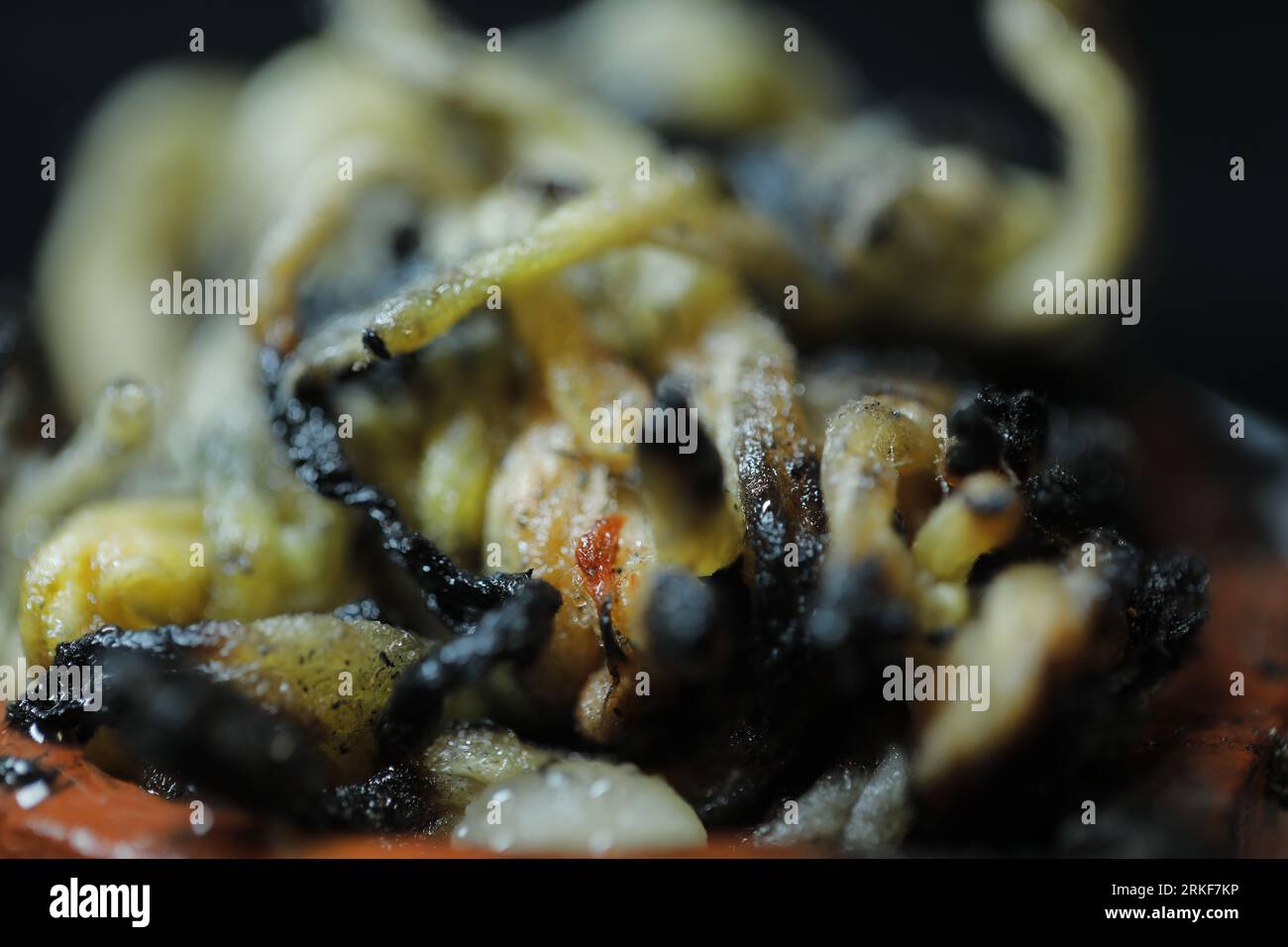 Used cotton in clay lamp hi-res stock photography and images - Alamy