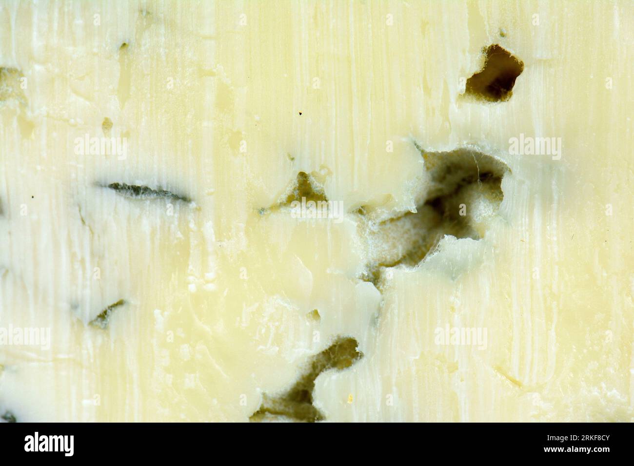 Blue cheese background and texture in the cut, top view, close up ...