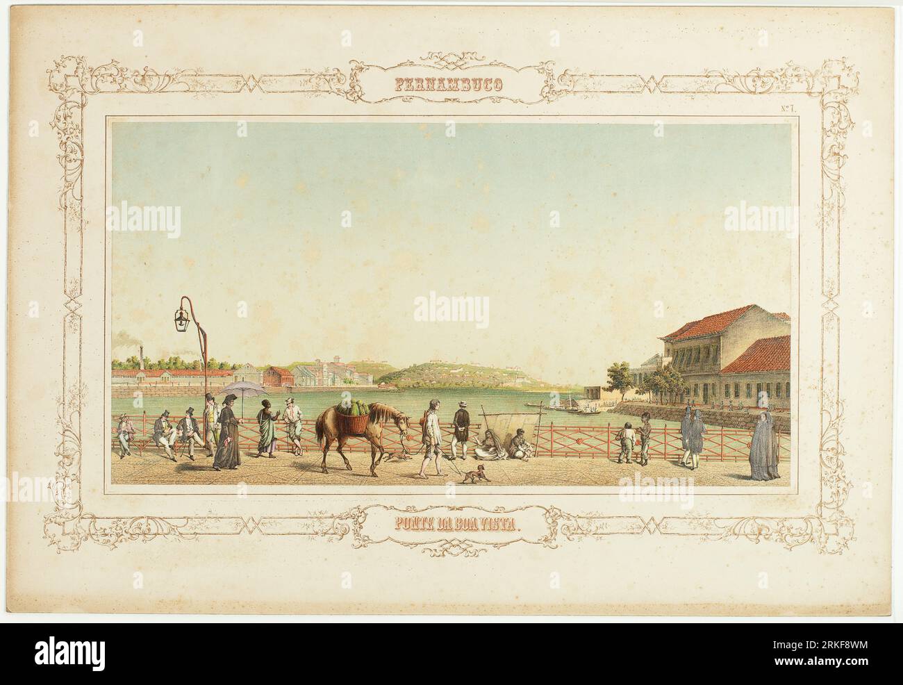 Pencil boa hi-res stock photography and images - Alamy