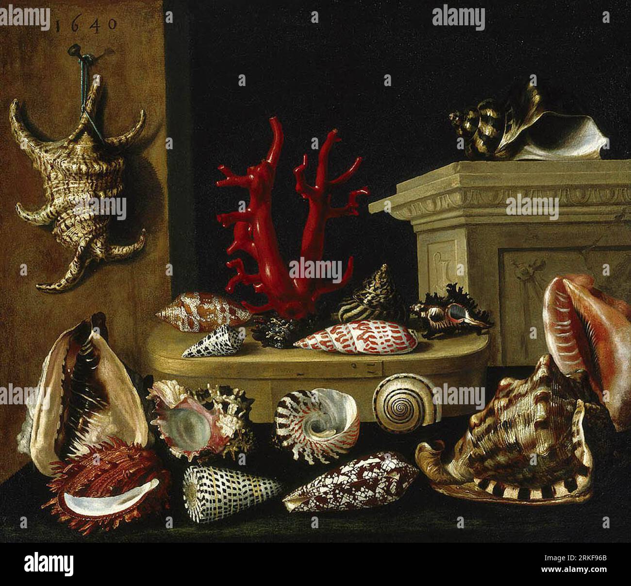Nature morte aux coquillages et au corail 1640 by Jacques Linard Stock ...