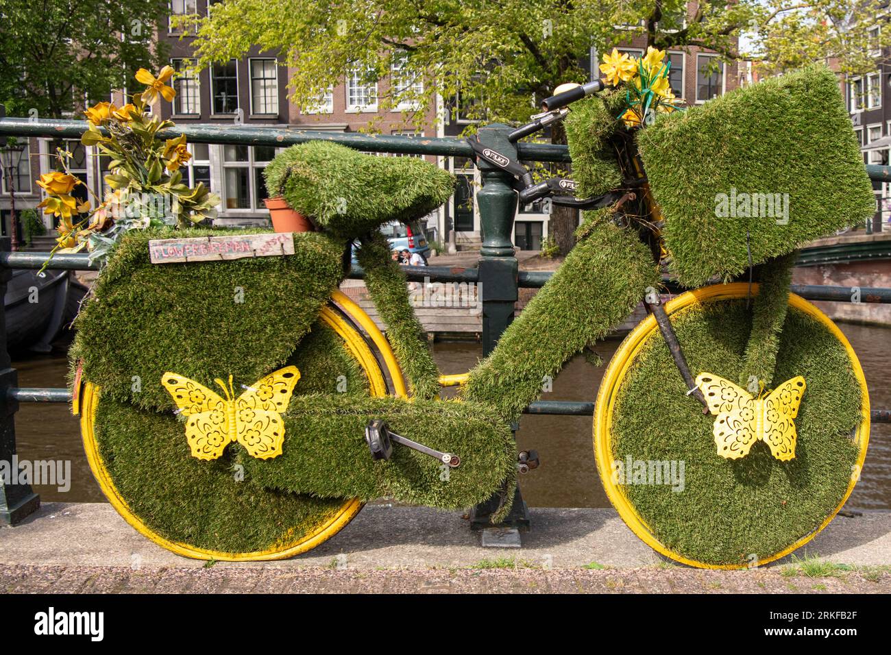 Grass growth on bike hi-res stock photography and images - Alamy