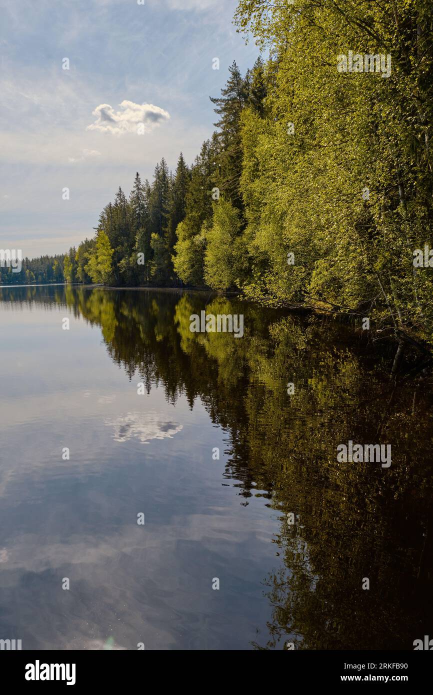 Beautiful forest sky lake reflection Stock Photo - Alamy