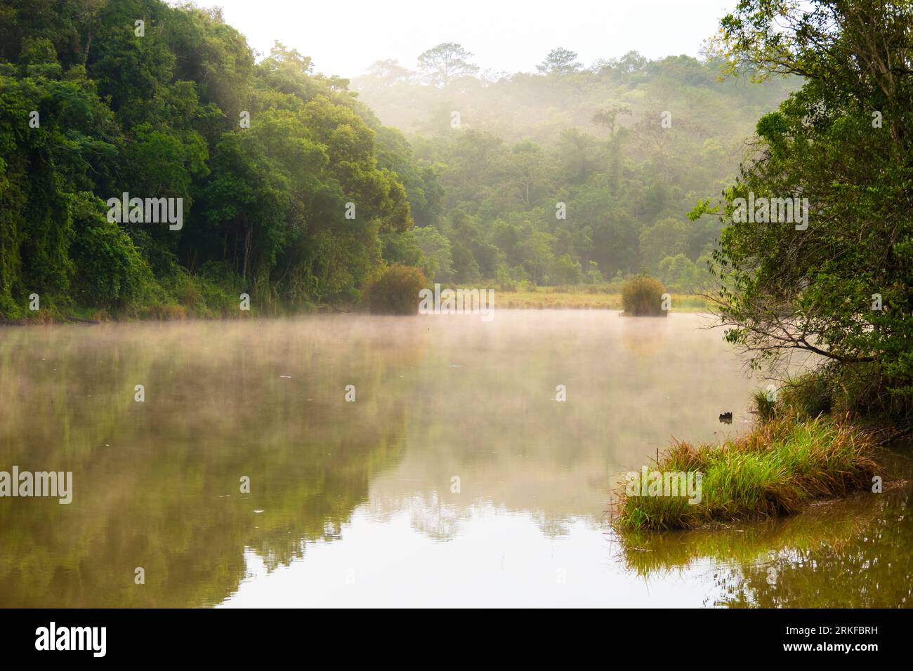 Fog and river Stock Photo - Alamy