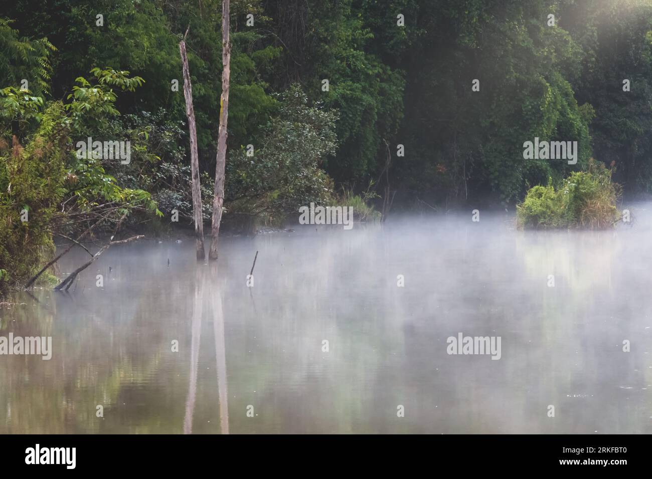 Flowing fog hi-res stock photography and images - Alamy