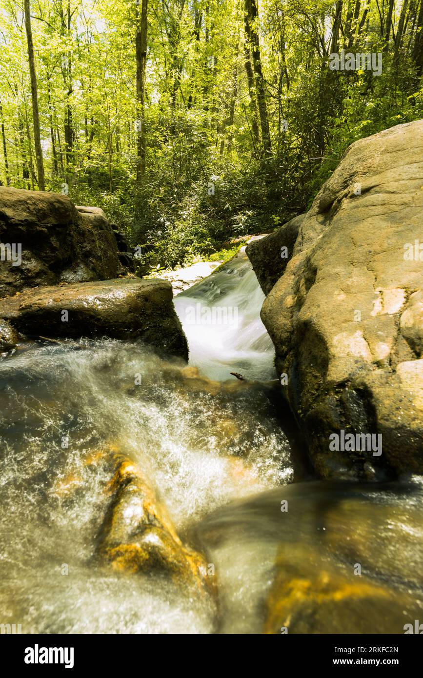 sun through trees and river Stock Photo - Alamy