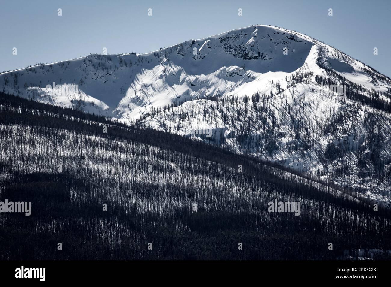 The Lolo Peak Fire burned the forest below Lolo Peak, Montana Stock ...