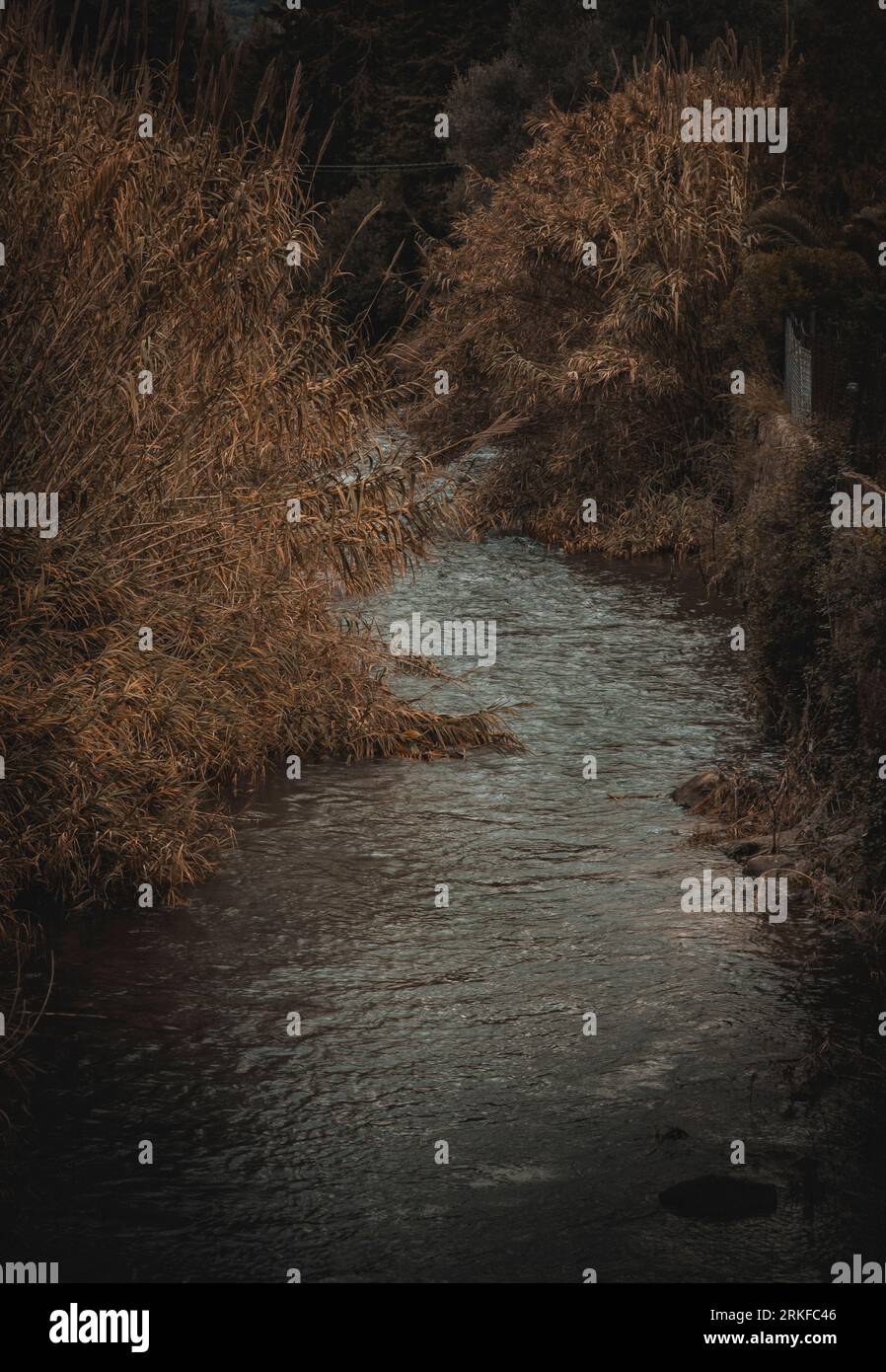 "client request - river images Stock Photo - Alamy