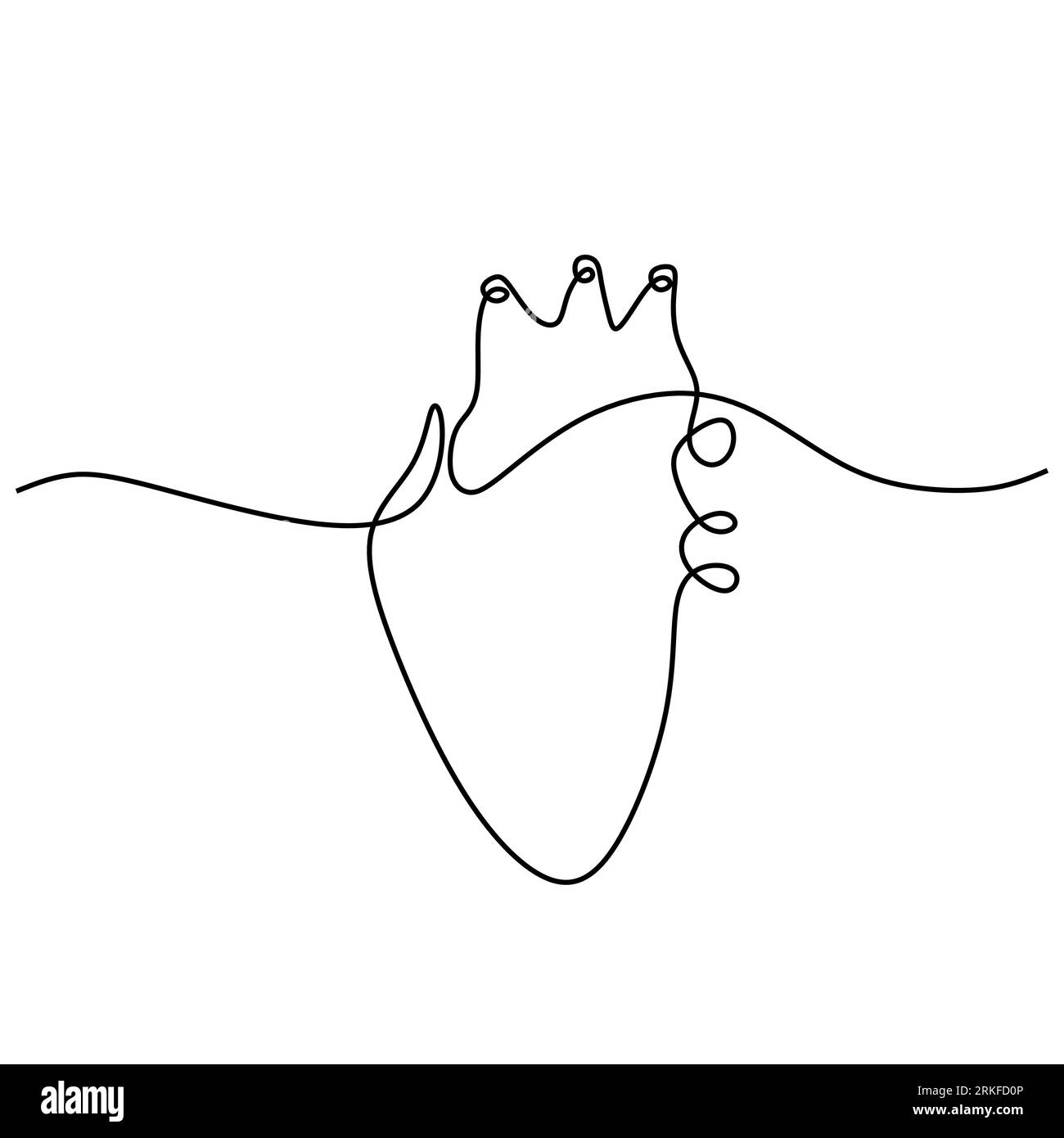 Single Continuous Line Art Anatomical Human Heart Heart Continuous