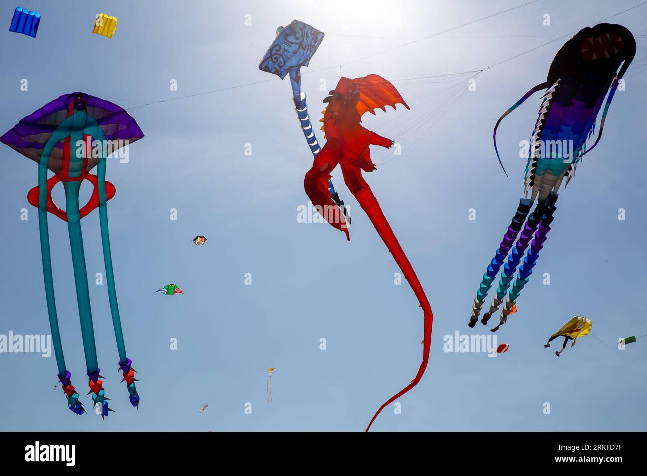 Kites in the air at a festival Stock Photo - Alamy