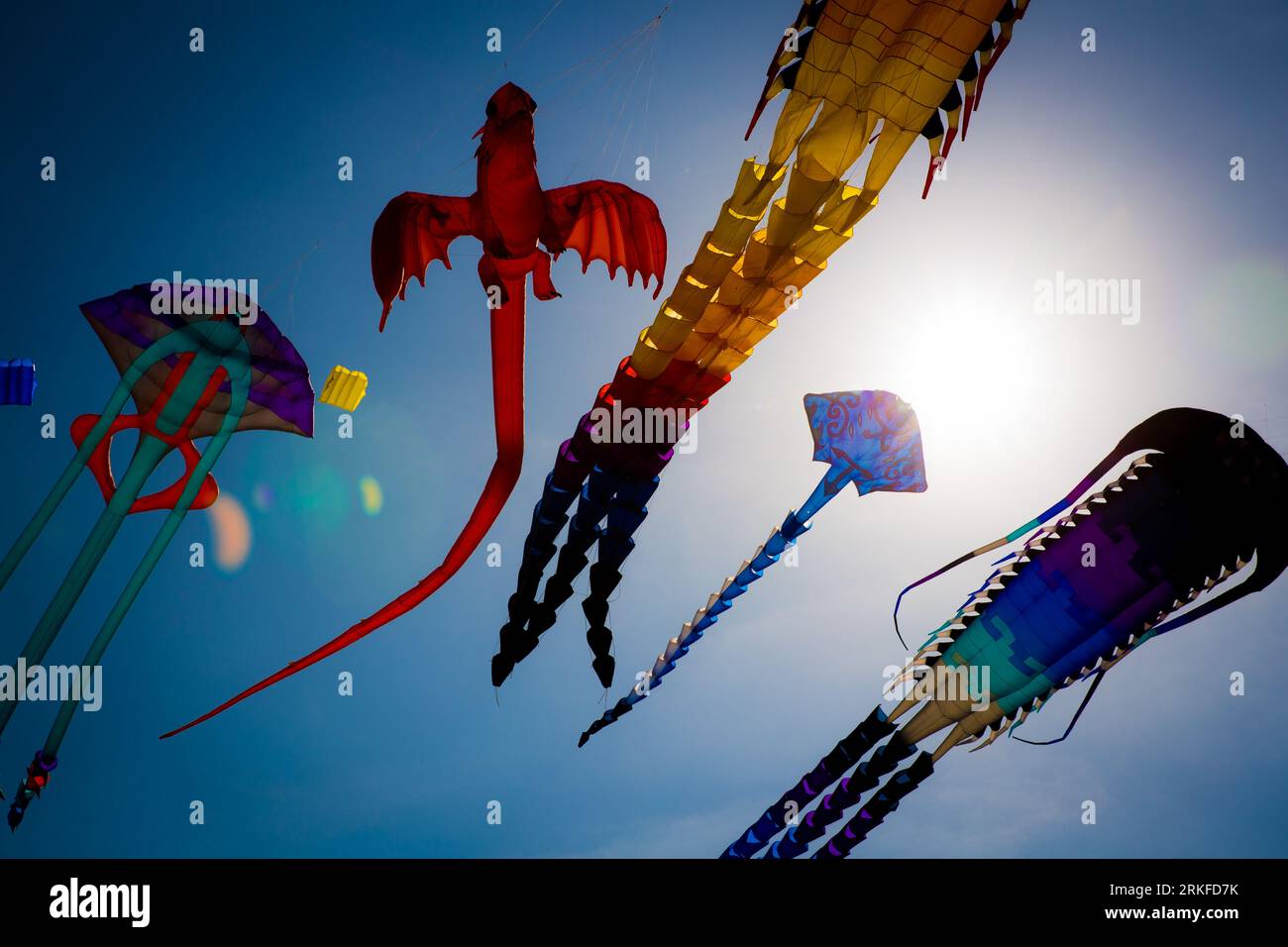 Kites in the air at a festival Stock Photo - Alamy