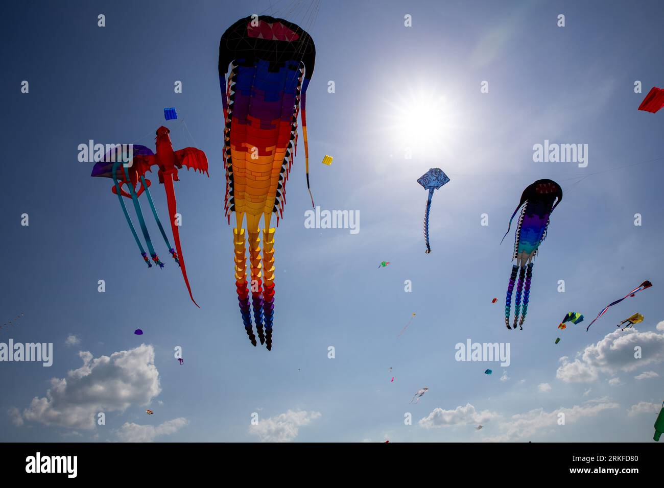 Kites in the air at a festival Stock Photo - Alamy