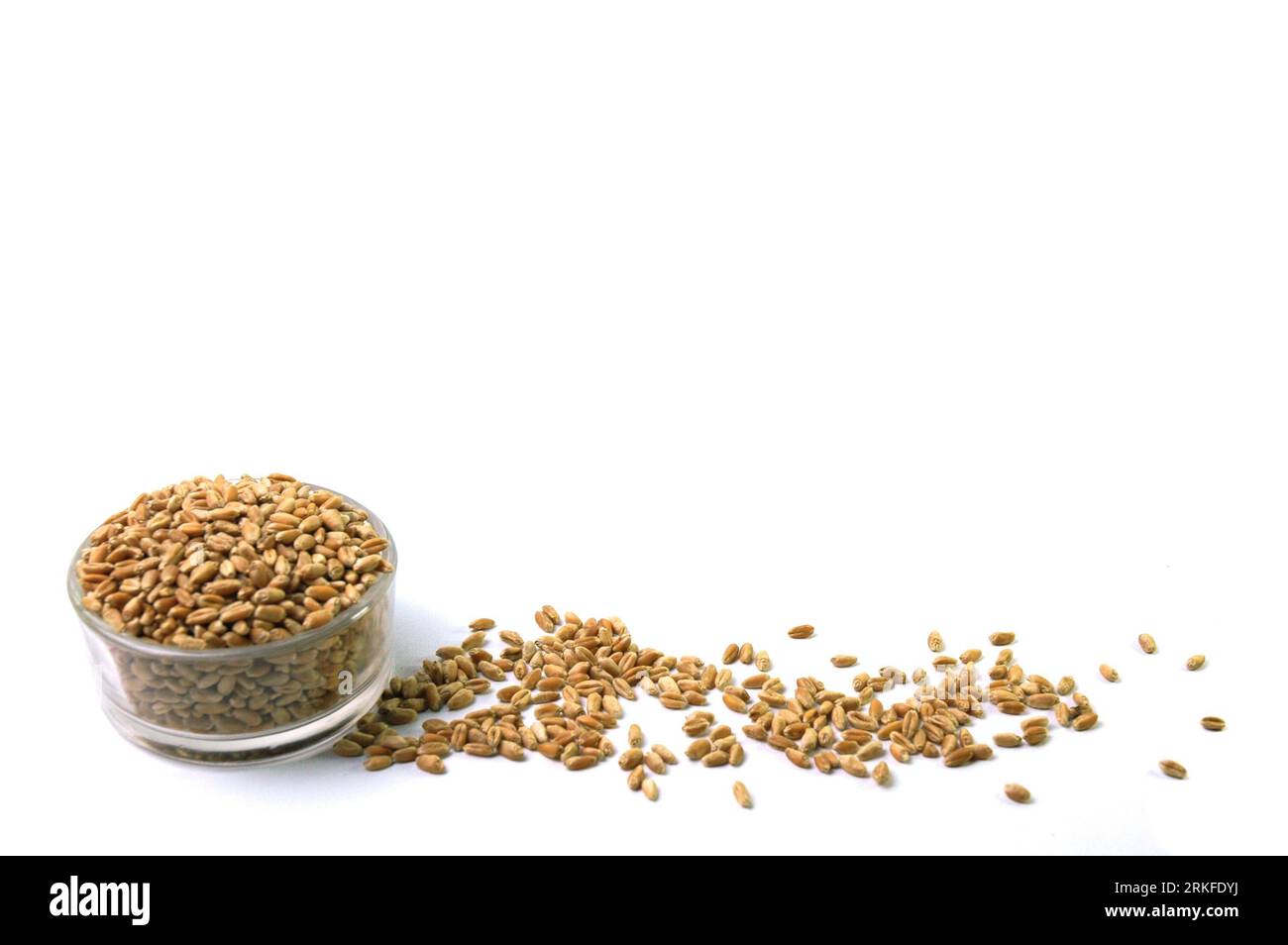 wheat grains isolated on white background Stock Photo - Alamy