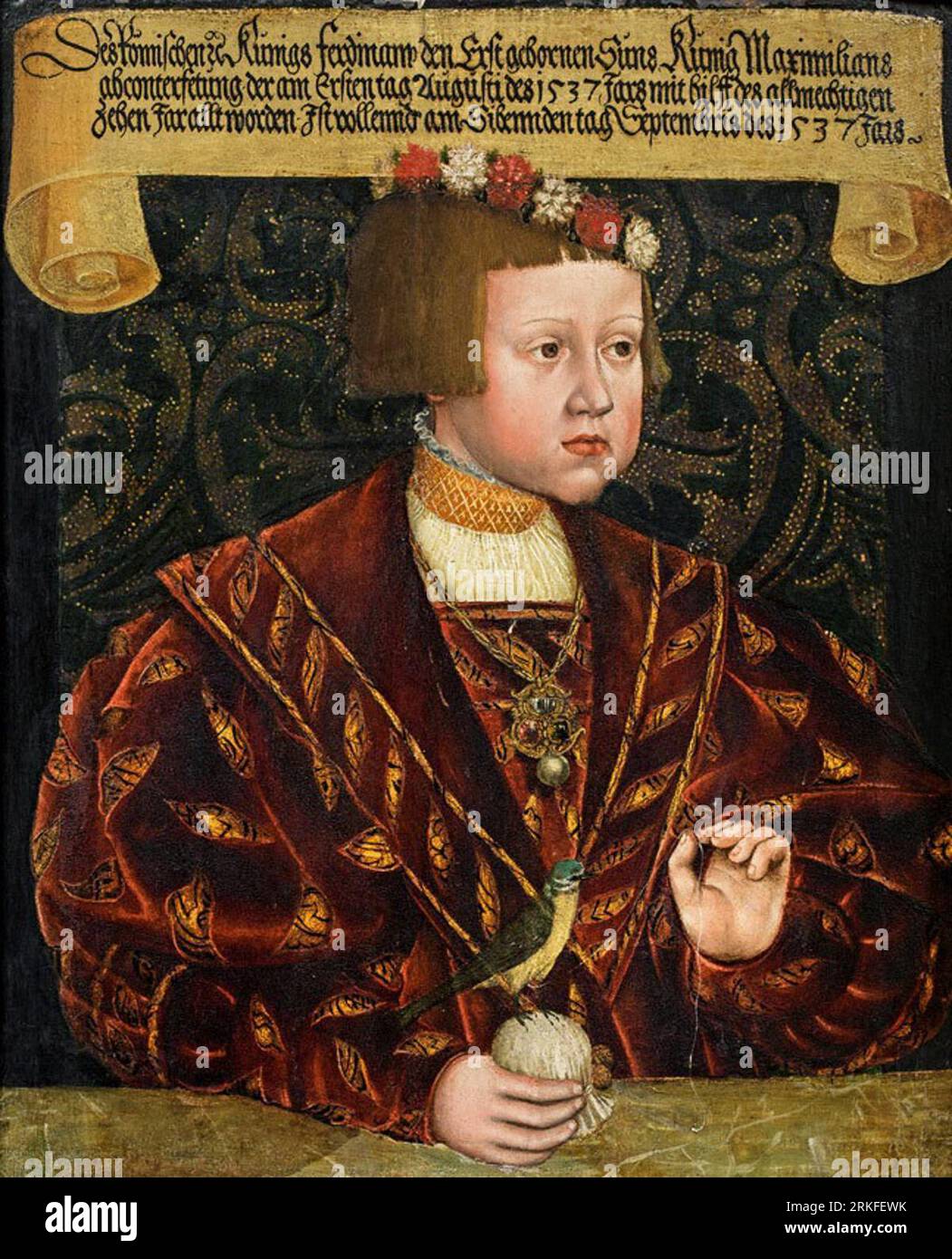 Portrait of Archduke Maximilian 1537 by Jakob Seisenegger Stock Photo ...