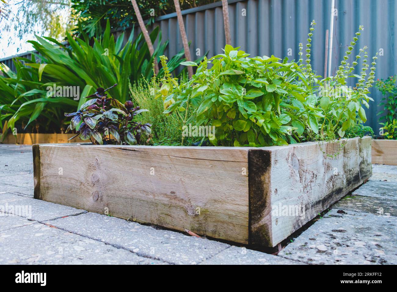 Herb box garden hi-res stock photography and images - Alamy