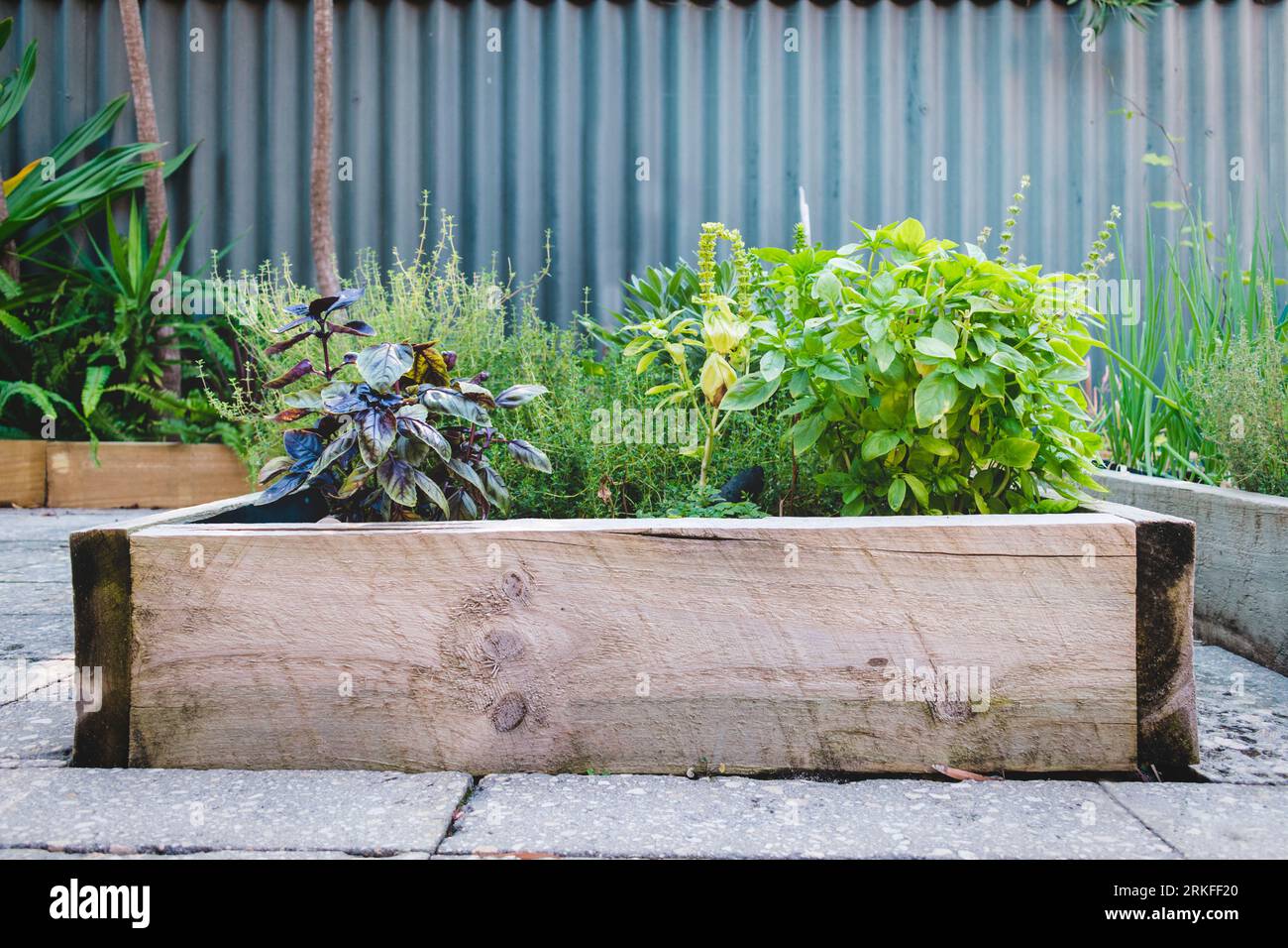 Herb planter box hi-res stock photography and images - Alamy