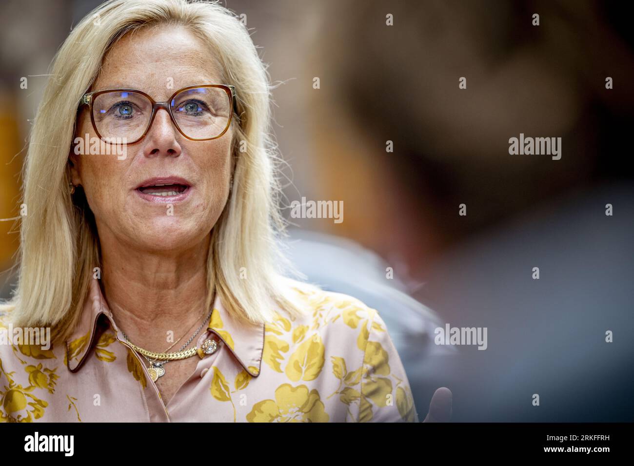 THE HAGUE - Sigrid Kaag Minister of Finance at the Binnenhof prior to ...