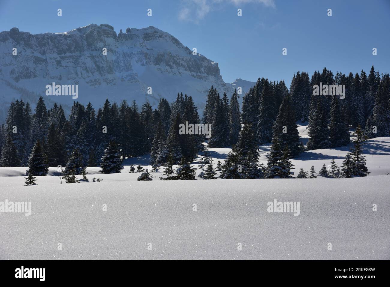 A scenic winter landscape with a mountain range covered in snow in ...