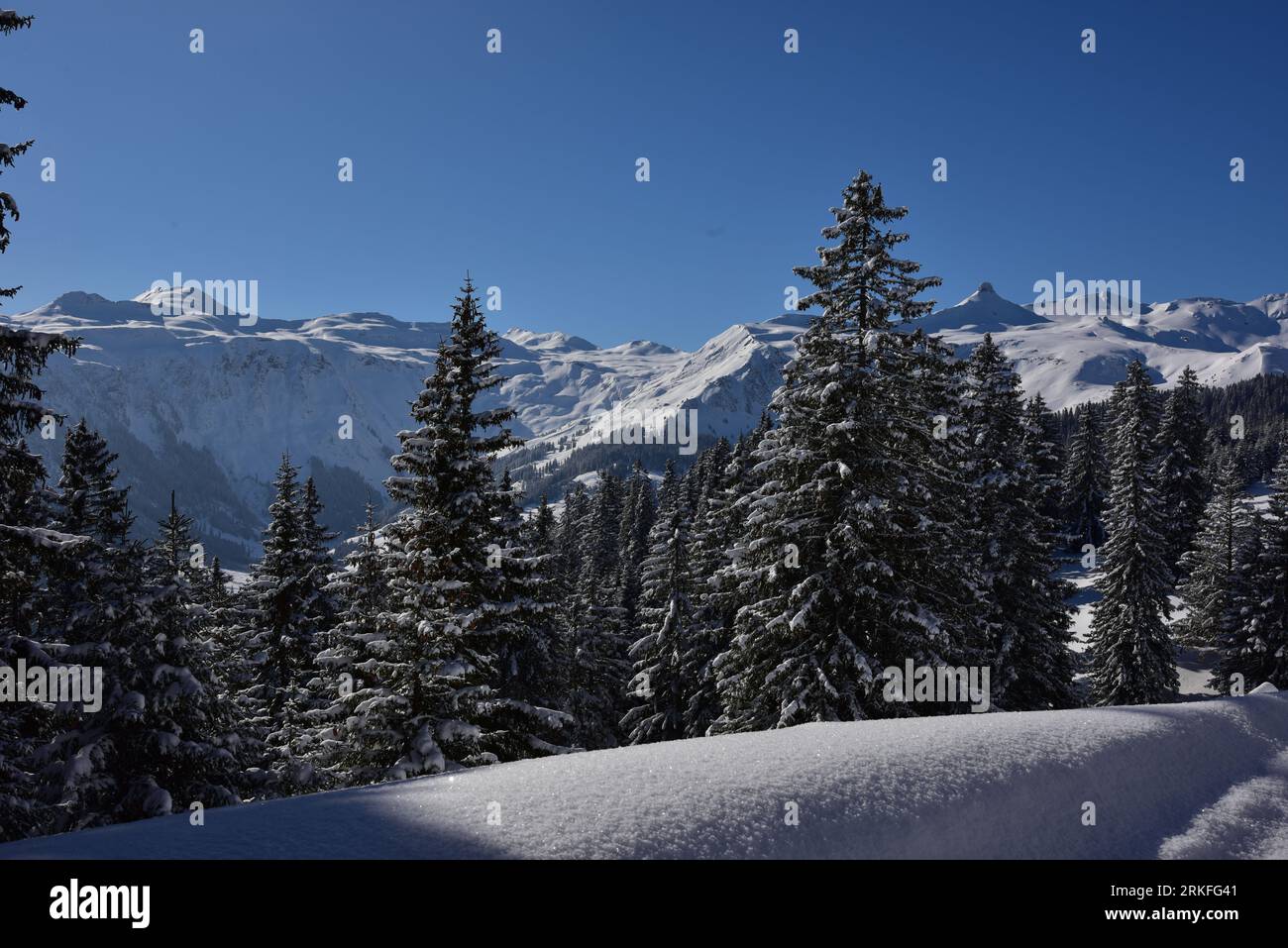 Alpine tundra switzerland hi-res stock photography and images - Alamy