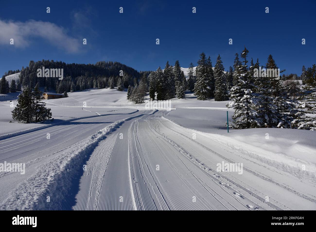 Alpine tundra switzerland hi-res stock photography and images - Alamy