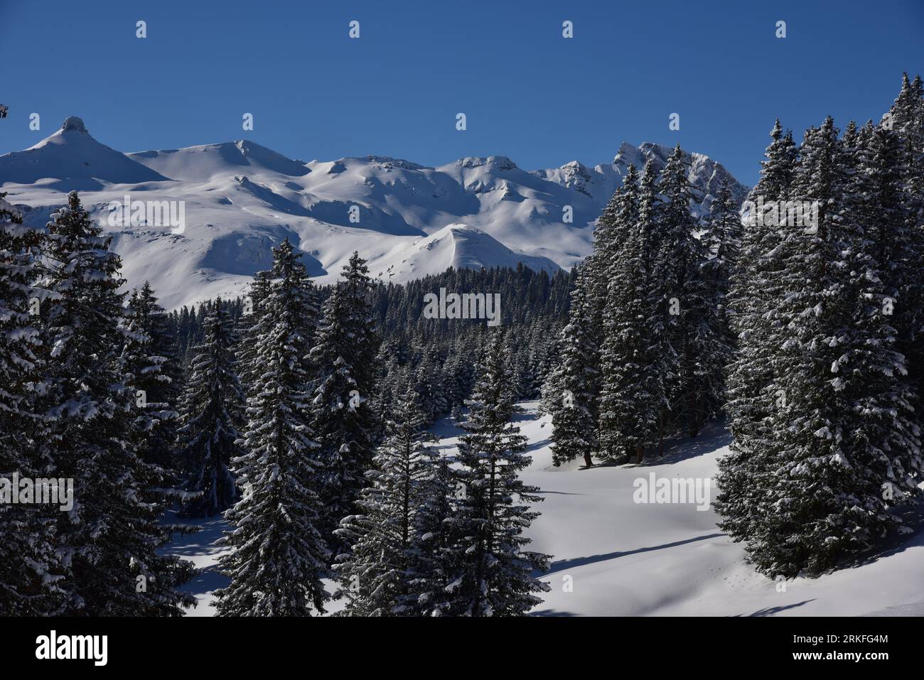 A scenic winter landscape with a mountain range covered in snow in ...
