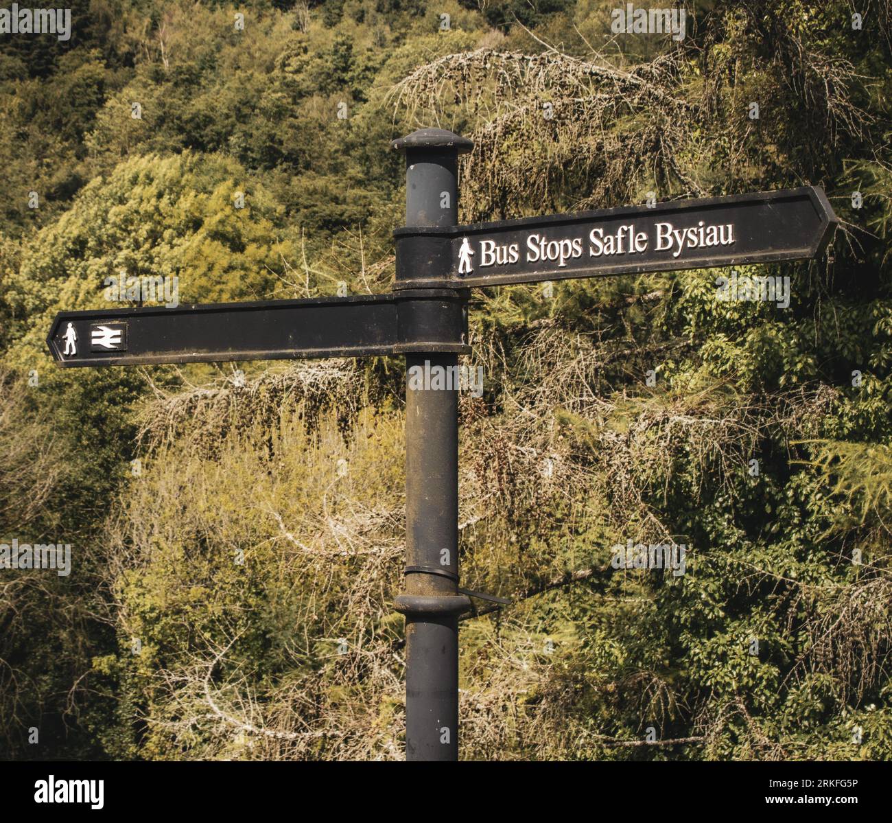 A bilingual Welsh and English street sign depicting a bus and railway ...