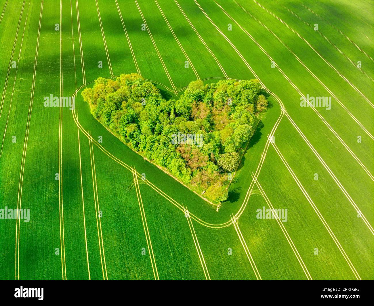 Heart shaped oasis hi-res stock photography and images - Alamy
